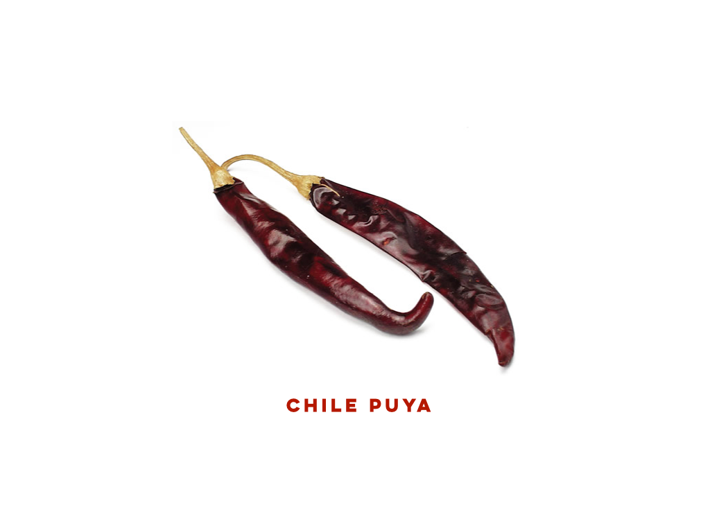 Dried Puya Chillies - Chile Puya Seco – Casa Mexicana | Shop